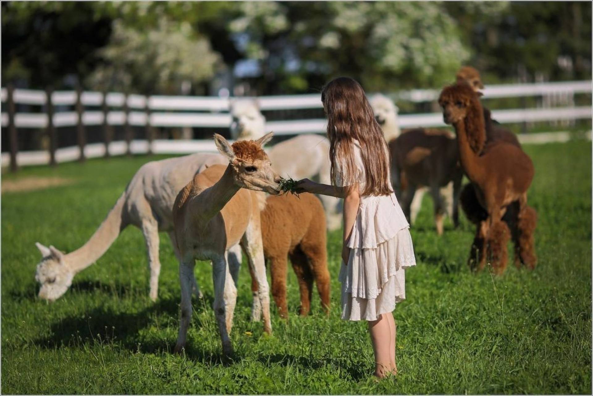 MAMOS REKOMENDUOJA – KĄ PAMATYTI NETOLI ŠIAULIŲ